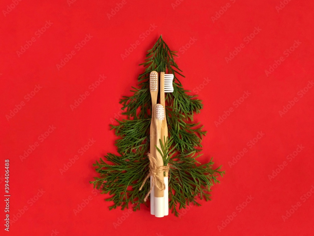 Bamboo toothbrushes tied with natural rope. White cedar branches in the ...