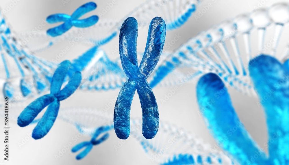 X chromosome against the background of DNA. Chromosomes and DNA. 3D ...