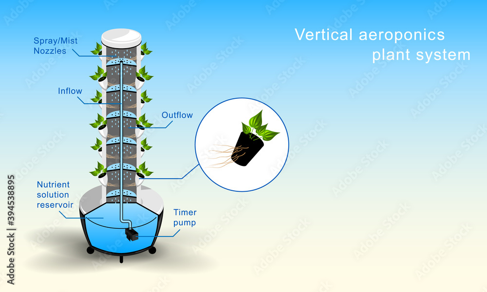 Vertical aeroponics plant system realistic detailed vector. Stock ...