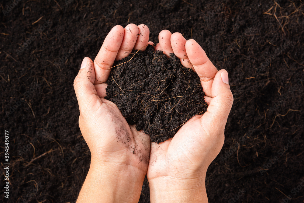 Top view of farmer woman hand holding compost fertile black soil ...