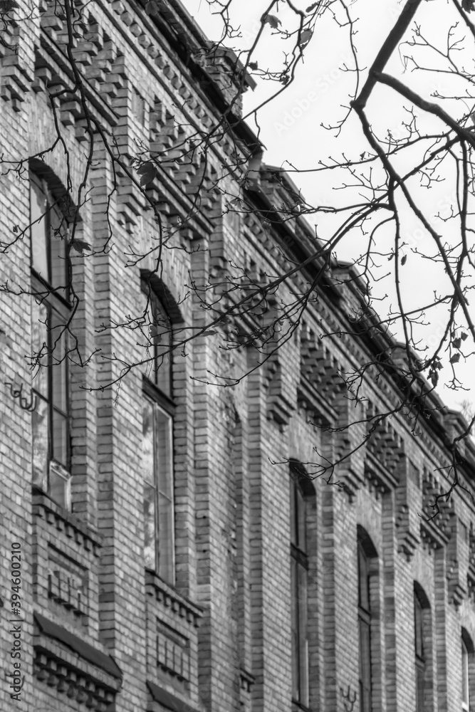 Brick building in b / w. High walls. Bare branches. University ...