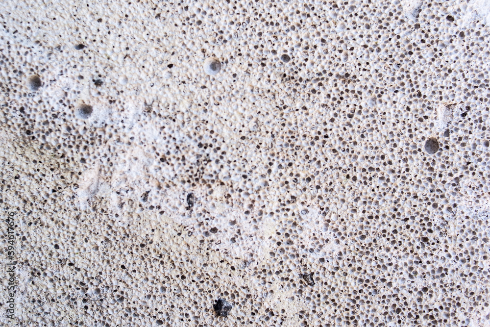 Shell rock limestone texture background. Spongy surface structure of ...