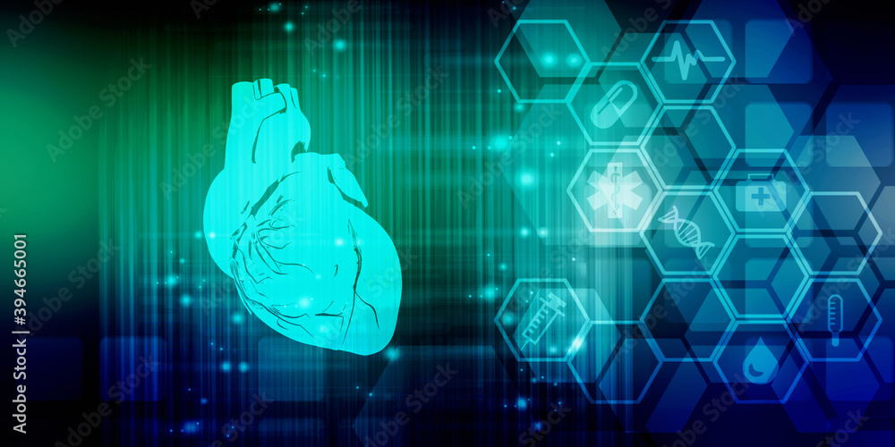 2d illustration Anatomy of Human Heart Stock Illustration | Adobe Stock