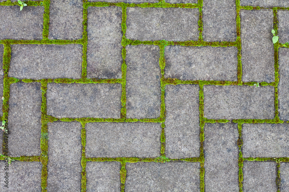 The surface of the sidewalk. Detailed texture of a pedestrian walkway with paving tiles. Top ...