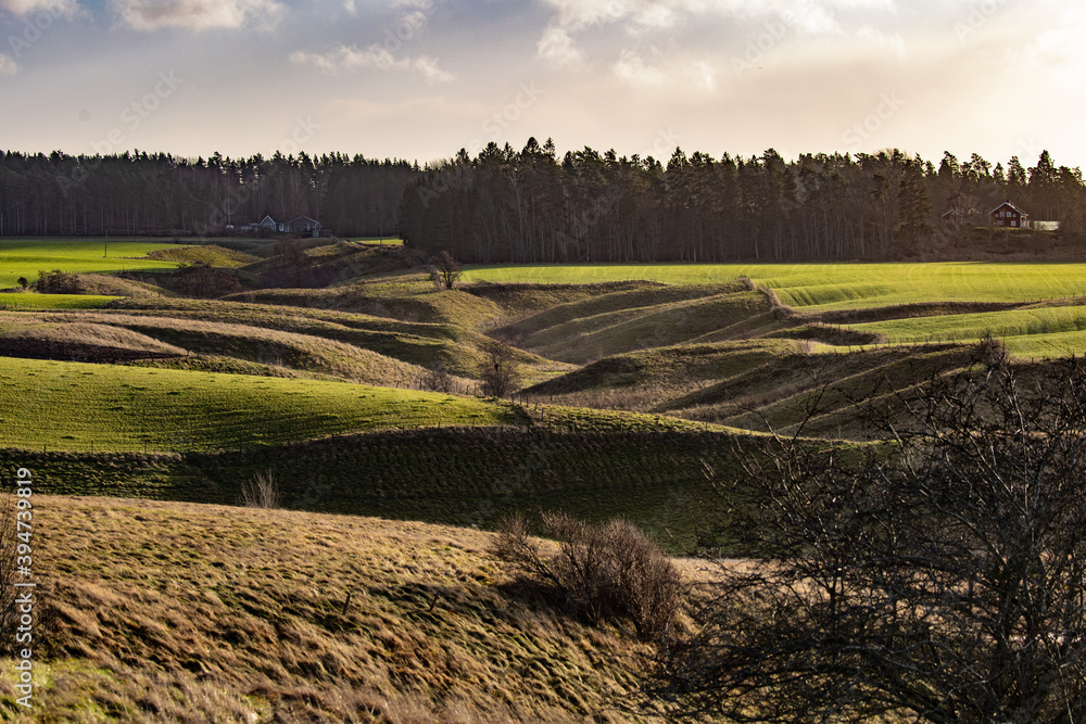 Gentle rolling hills in a rural landscape. Sunrise is illuminating the ...