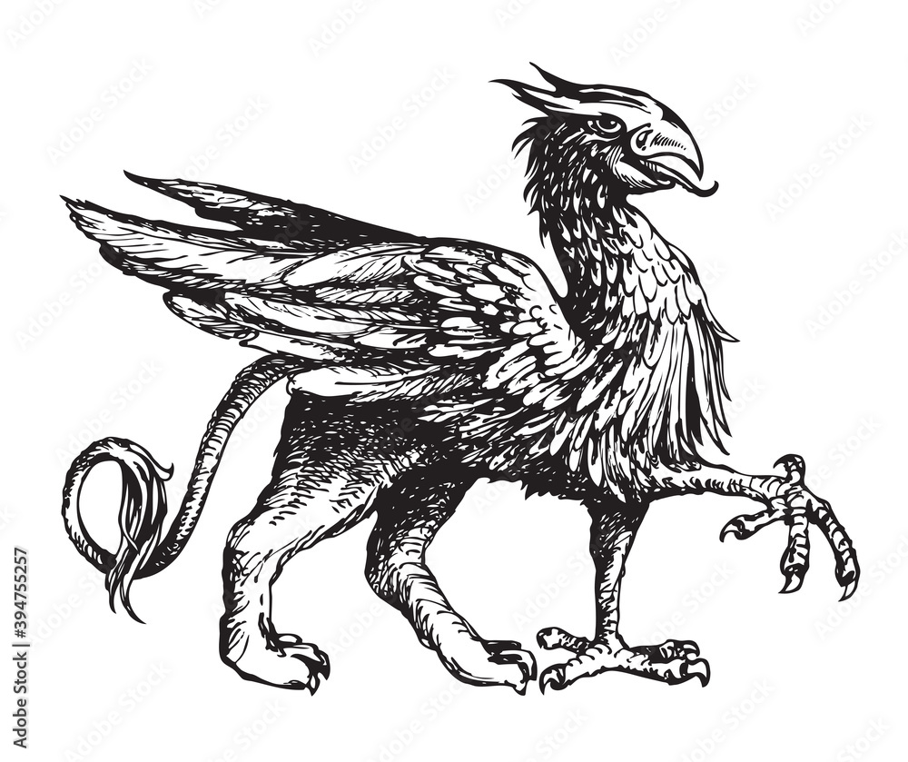 Heraldic griffin from the family crest. Vintage mythical animal with ...