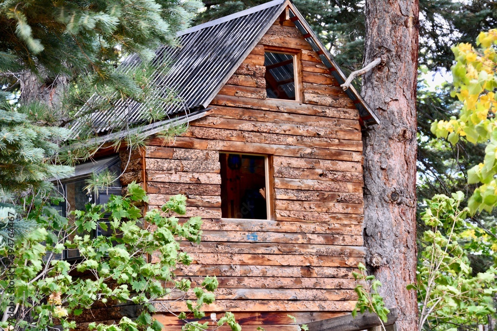 Foto de Abandoned treehouse high up, peeking out behind green foliage ...