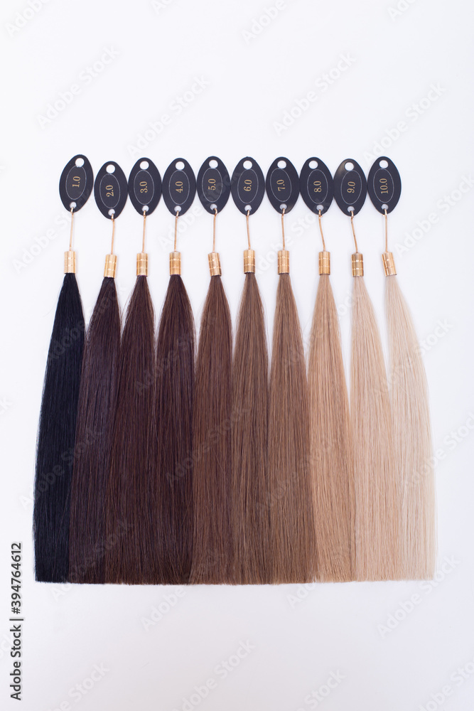 Hair base color palette, samples chart from brunette to blonde on white ...