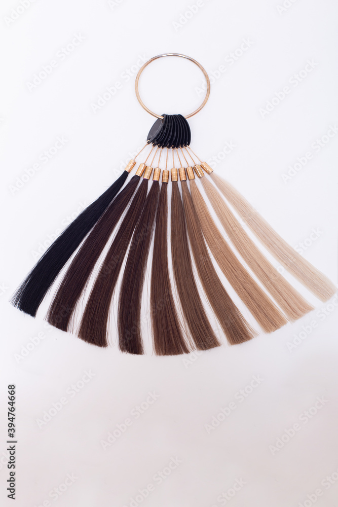 Hair base color palette, samples chart from brunette to blonde on white ...