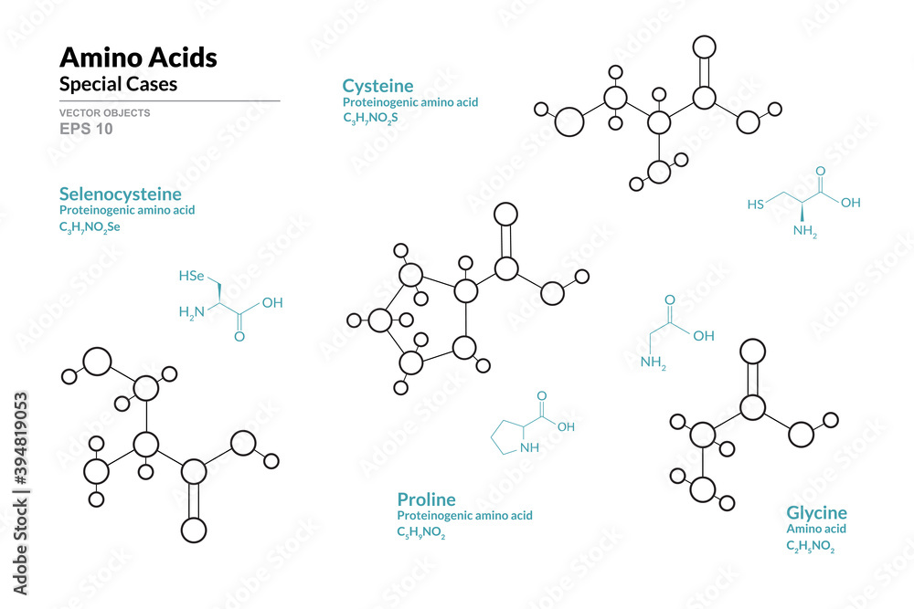 Amino Acids Special Cases. Selenocysteine, Cysteine, Proline, Glycine ...