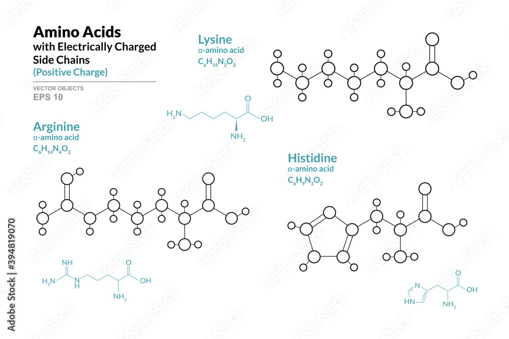 Amino Acids with Electrically Charged Side Chains. Lysine, Histidine ... Amino Acids with Electrically Charged Side Chains. Lysine, Histidine ...