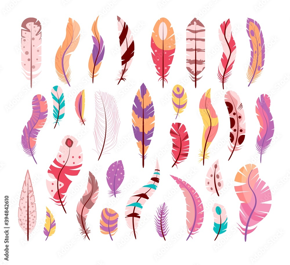 Colored ornamental bird wing feather, curved straight quill. Cartoon ...