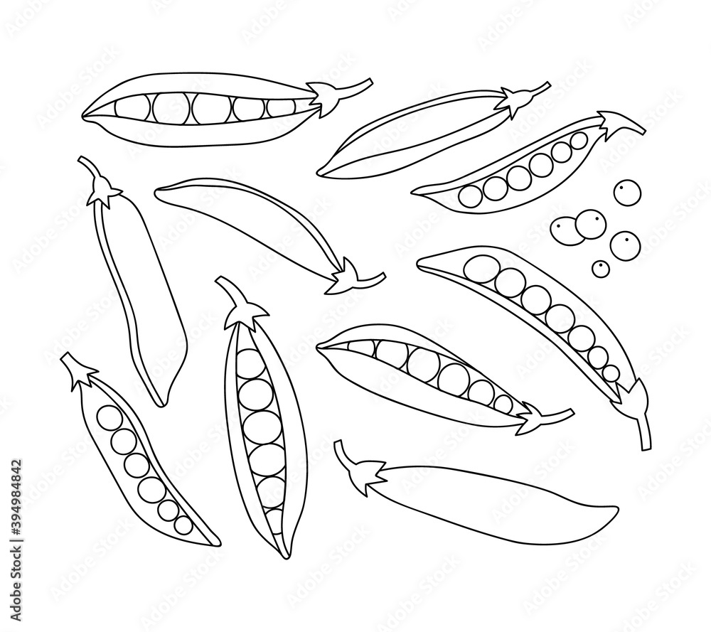 Vector illustration of peas and half of the peas. Set of peas isolated ...