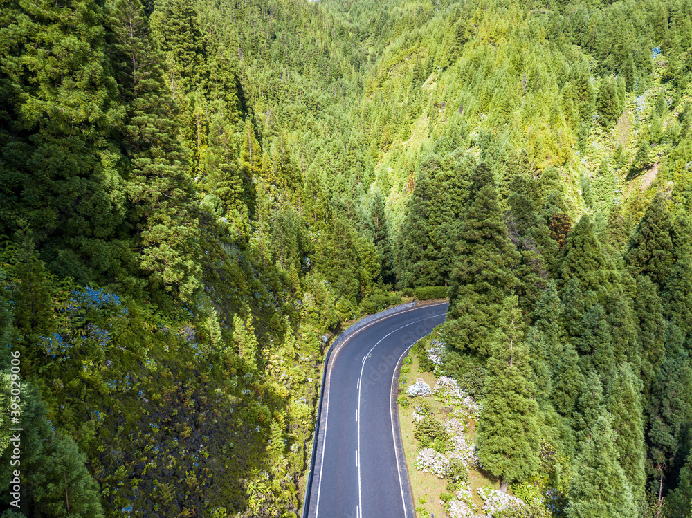 Overhead aerial top view over forest in Sete Cidades. Mountain curve ...
