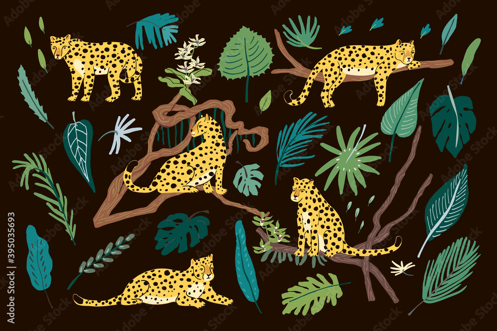 leopards safari animals hand drawn vector illustrations set Stock ...
