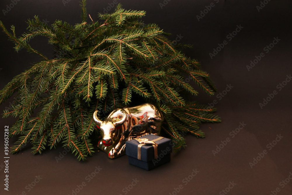 Bull as a symbol of New Year and Christmas 2021 on a black background ...