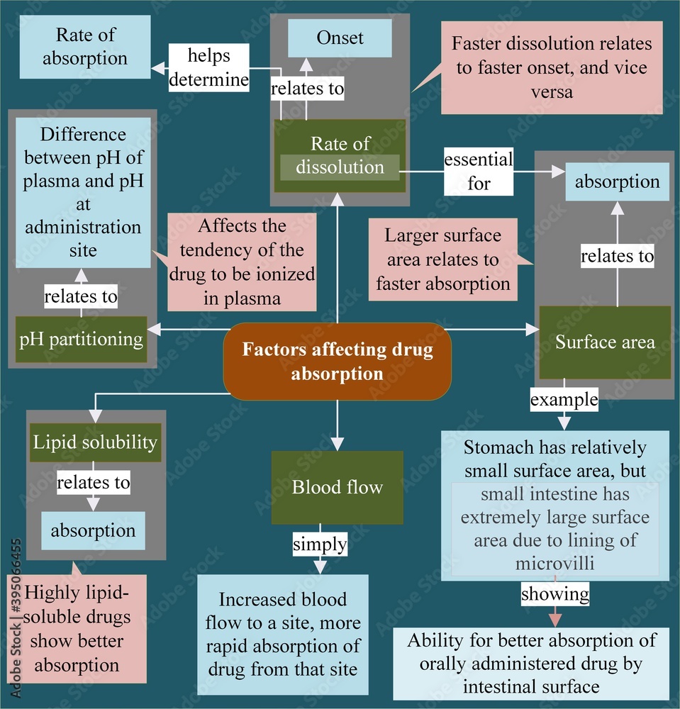 Factors affecting drug absorption Stock Illustration | Adobe Stock Factors affecting drug absorption Stock Illustration | Adobe Stock