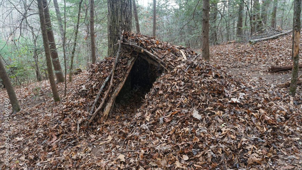 Primitive Debris Hut Survival Shelter in the wilderness. Bushcraft ...