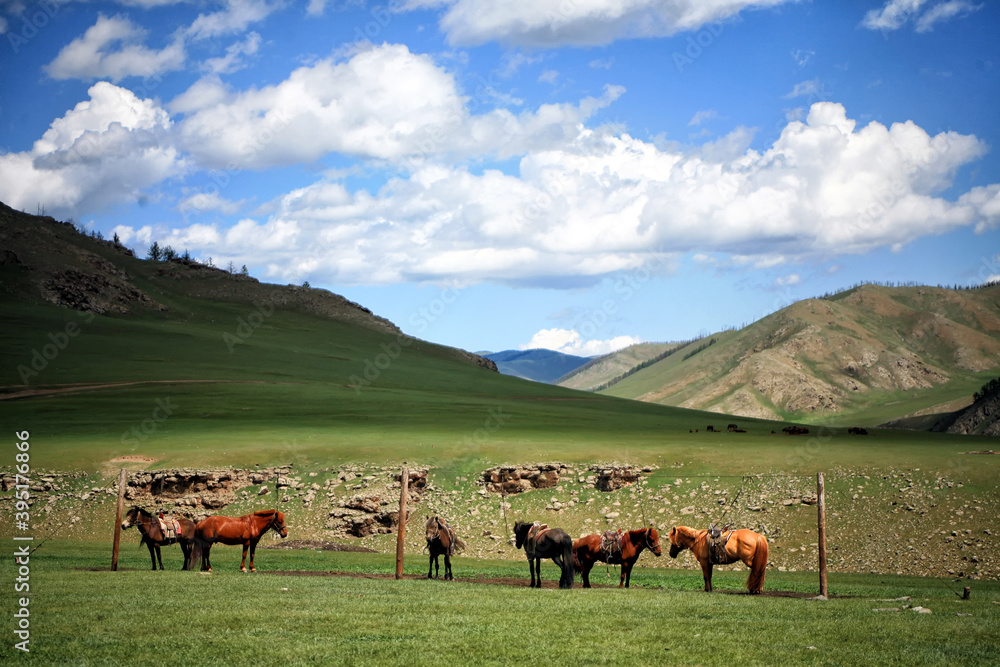 The Eastern Mongolian Steppes are home to the largest remaining intact ...