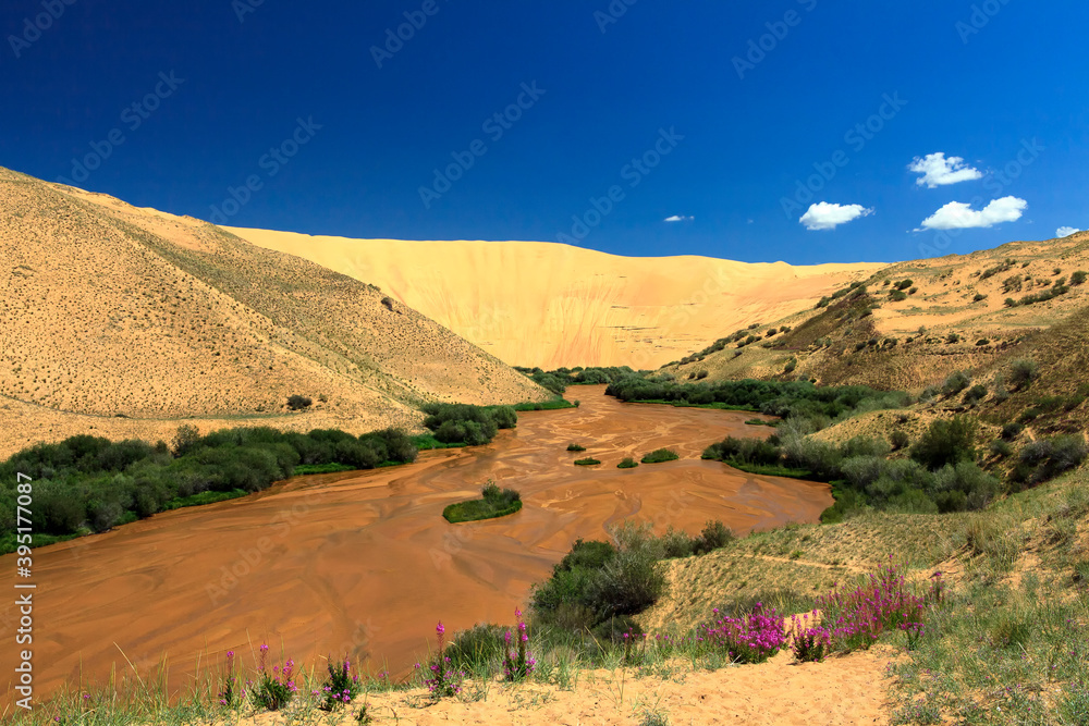Foto de Mukhart River sources out of Great Mongol desert towers 450 m ...