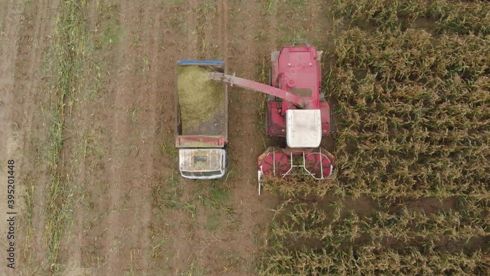 Aerial view is a self-propelled machine with a corn Reaper that cuts ...