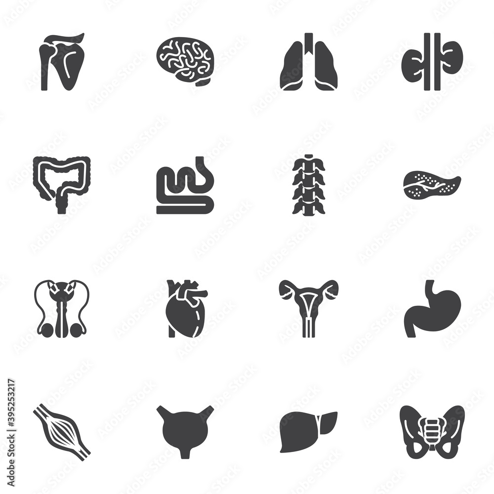 Internal organs vector icons set, modern solid symbol collection ...