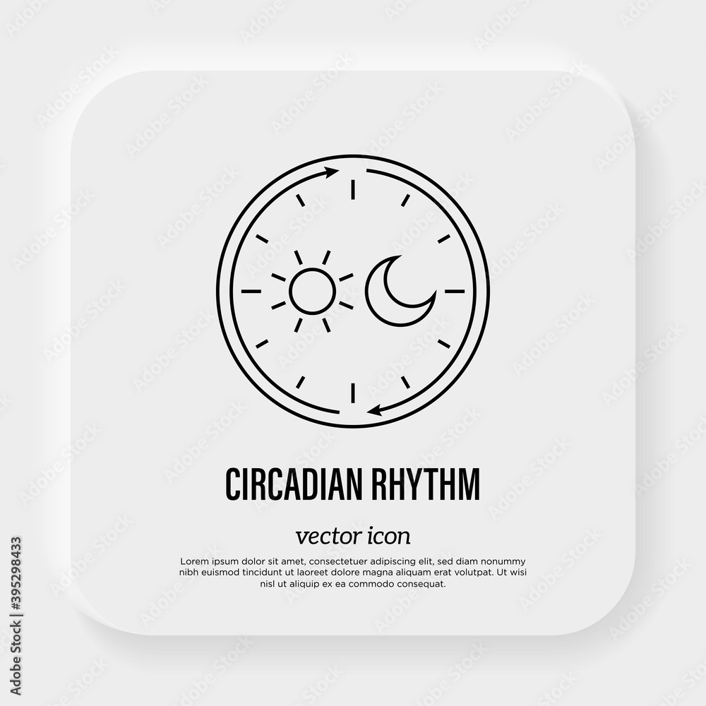 Circadian rhythm thin line icon. Sleep regulation by hormones. Vector ...
