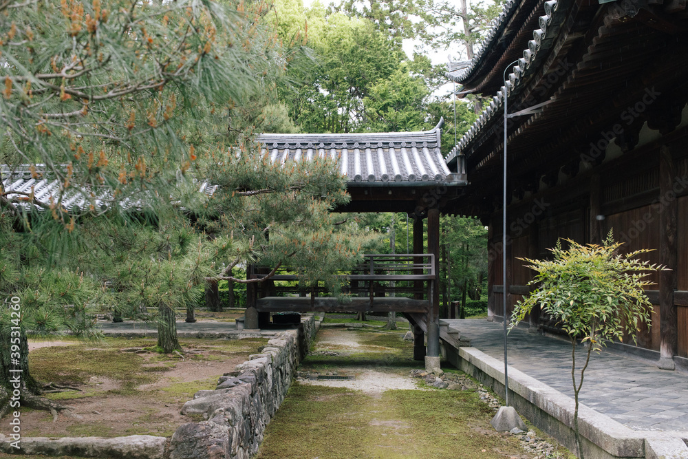ancient traditional japanese building brige temple shrouded in foliage ...