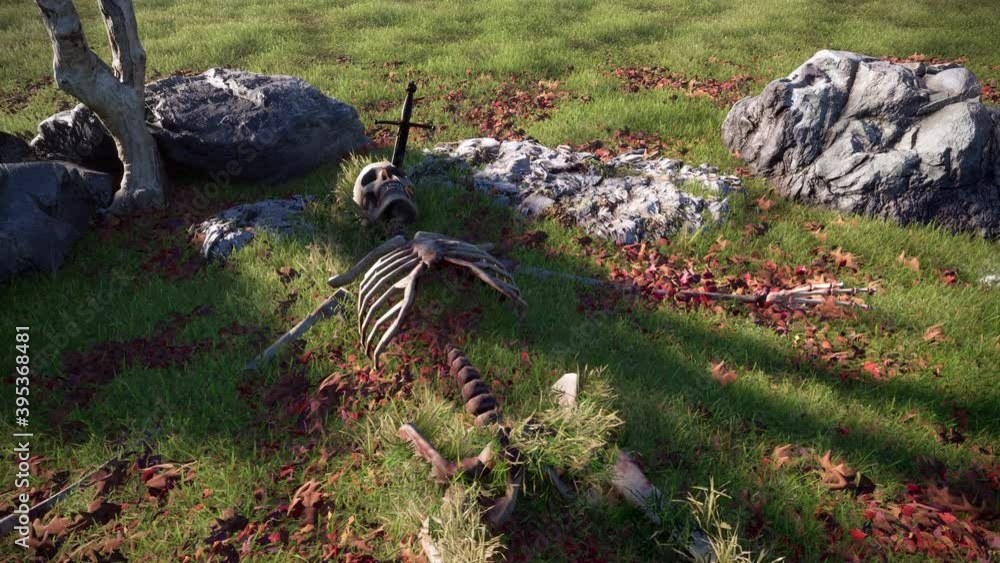 The skeleton remains of a human being who died on the battlefield by a ...