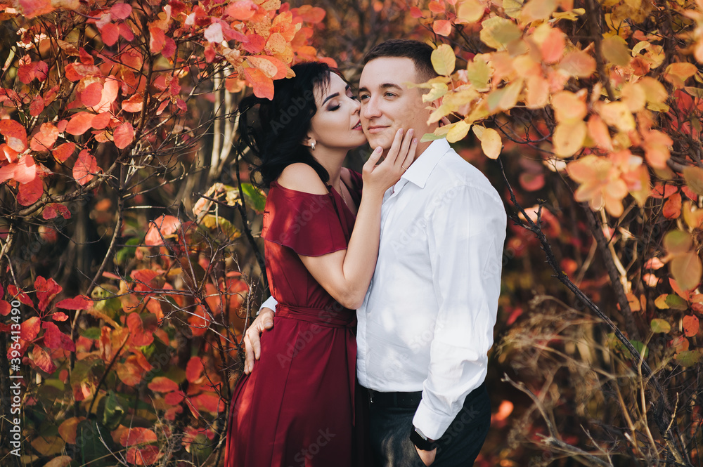 A beautiful girl in a long dress kisses a stylish respectable beloved ...