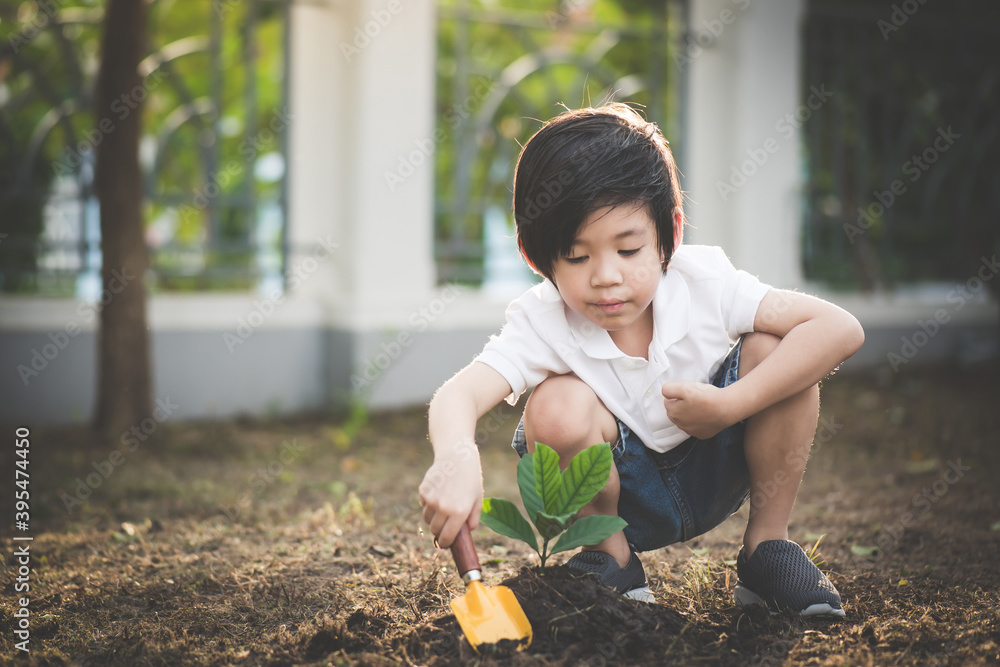 Cute Asian child planting young tree on the black soil Stock Photo ...