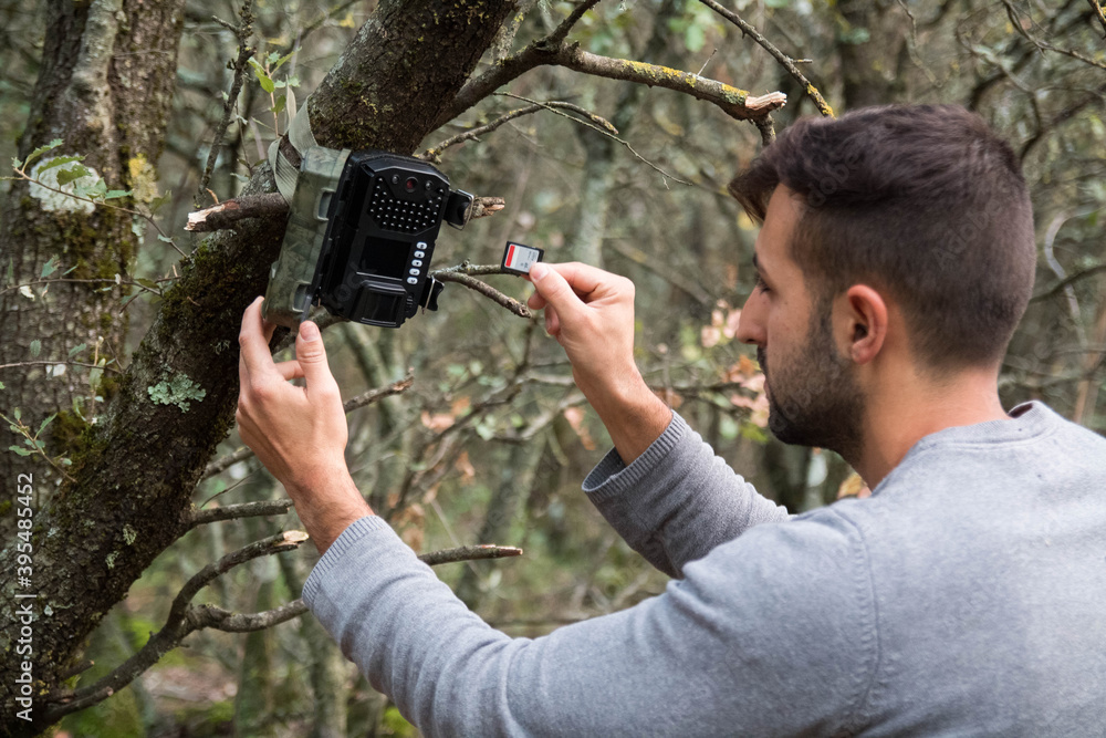 A forester installs a photographic camera trap with infrared radiation ...