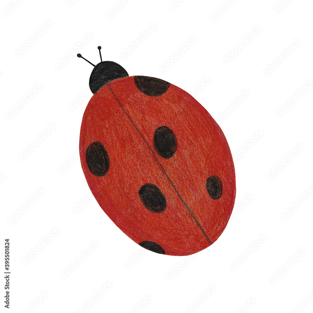 Red ladybug clip art isolated on white background. Hand drawn ladybird ...