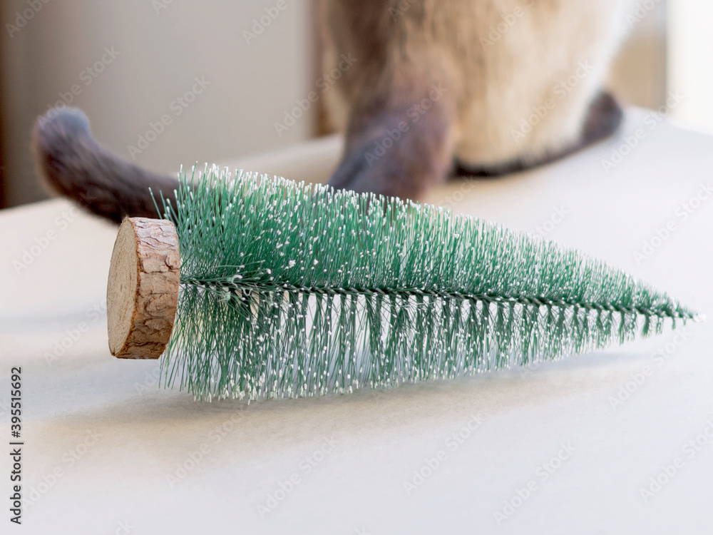 Cat and new year tree concept : artificial pine tree decoration and ...