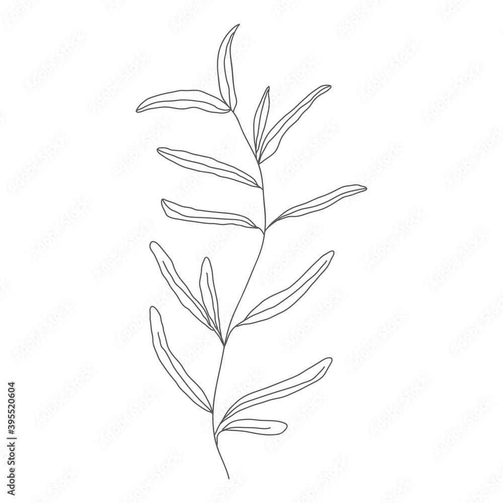 Minimalism line drawing. leaf vector one line art. Botanical Sketch ...