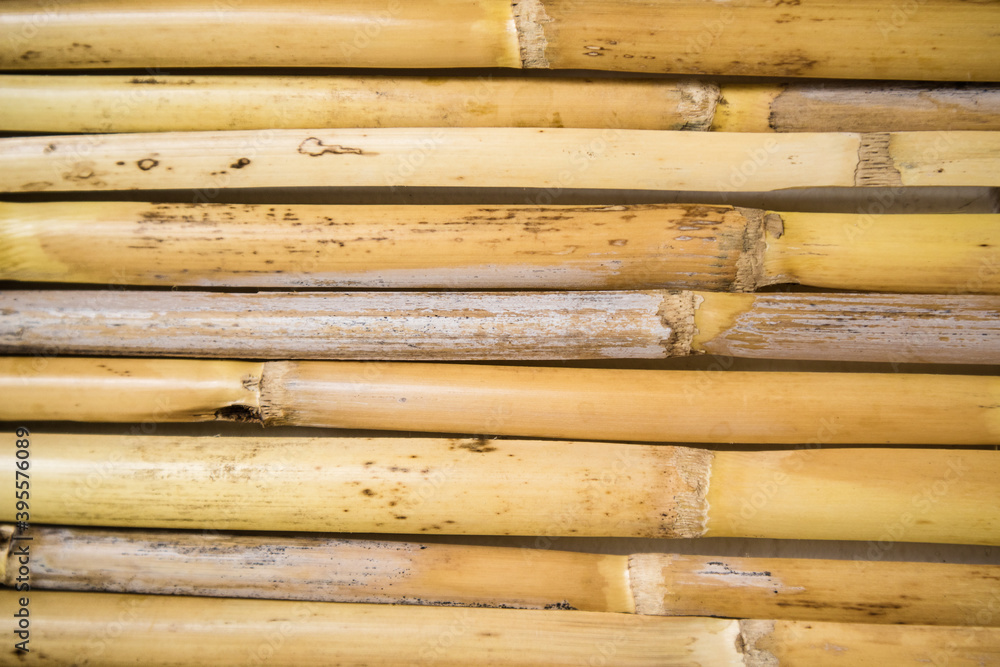 Detalle de la textura de cañas organizadas horizontalmente Stock Photo ...