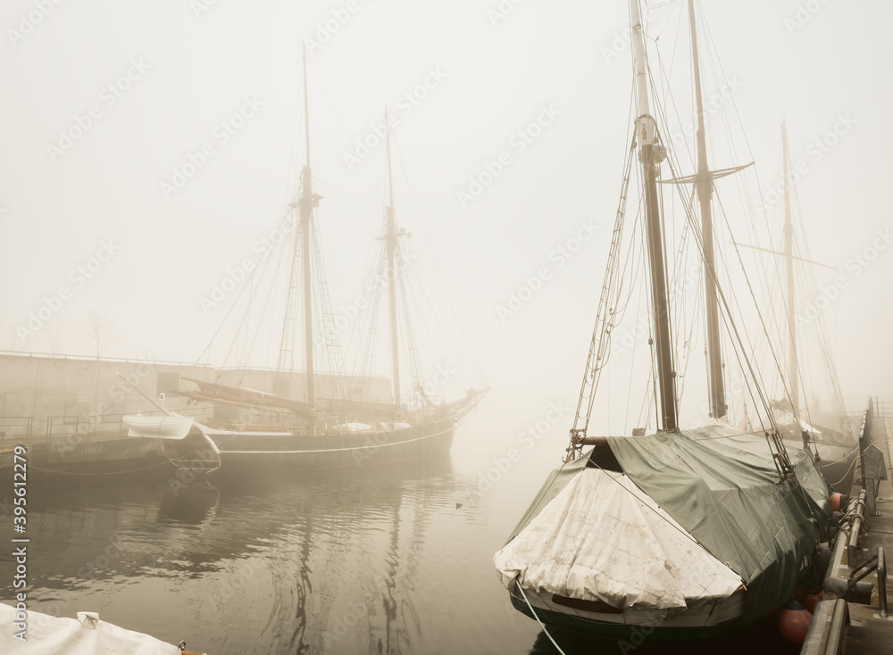 Elegant and modern yachts, sailing and fishing boats moored ti a pier ...