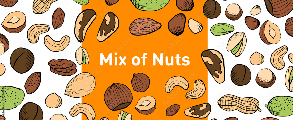 Collection of nuts, vertical template for paper label. Vector ...