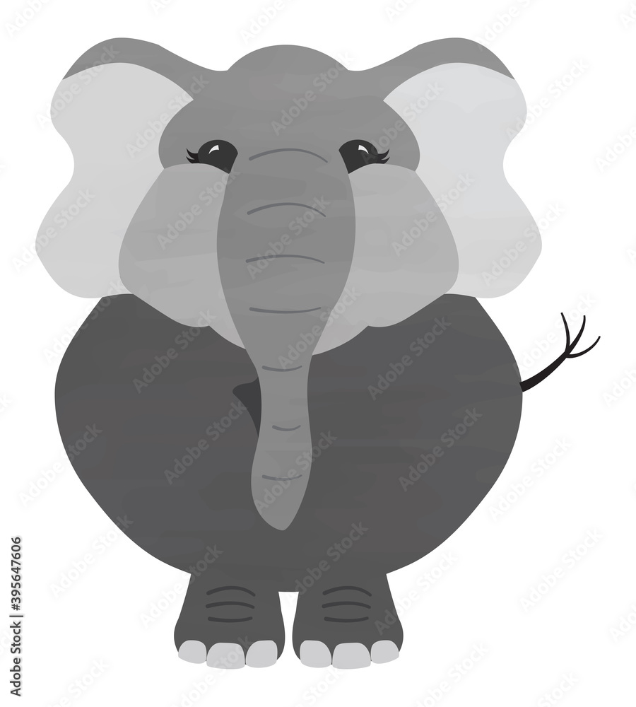 Baby Elephant Front View