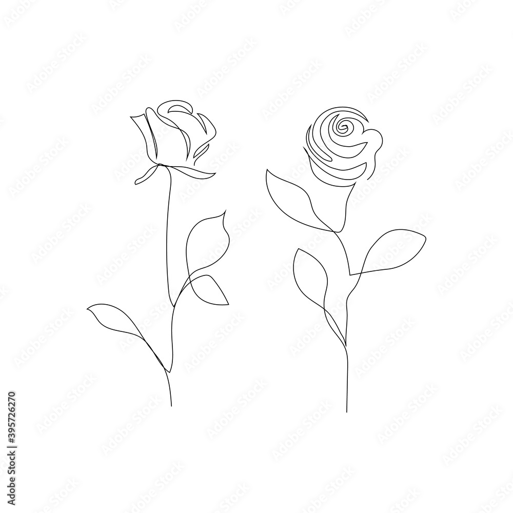 Beautiful roses one line drawing. Vector illustration. Stock Vector ...