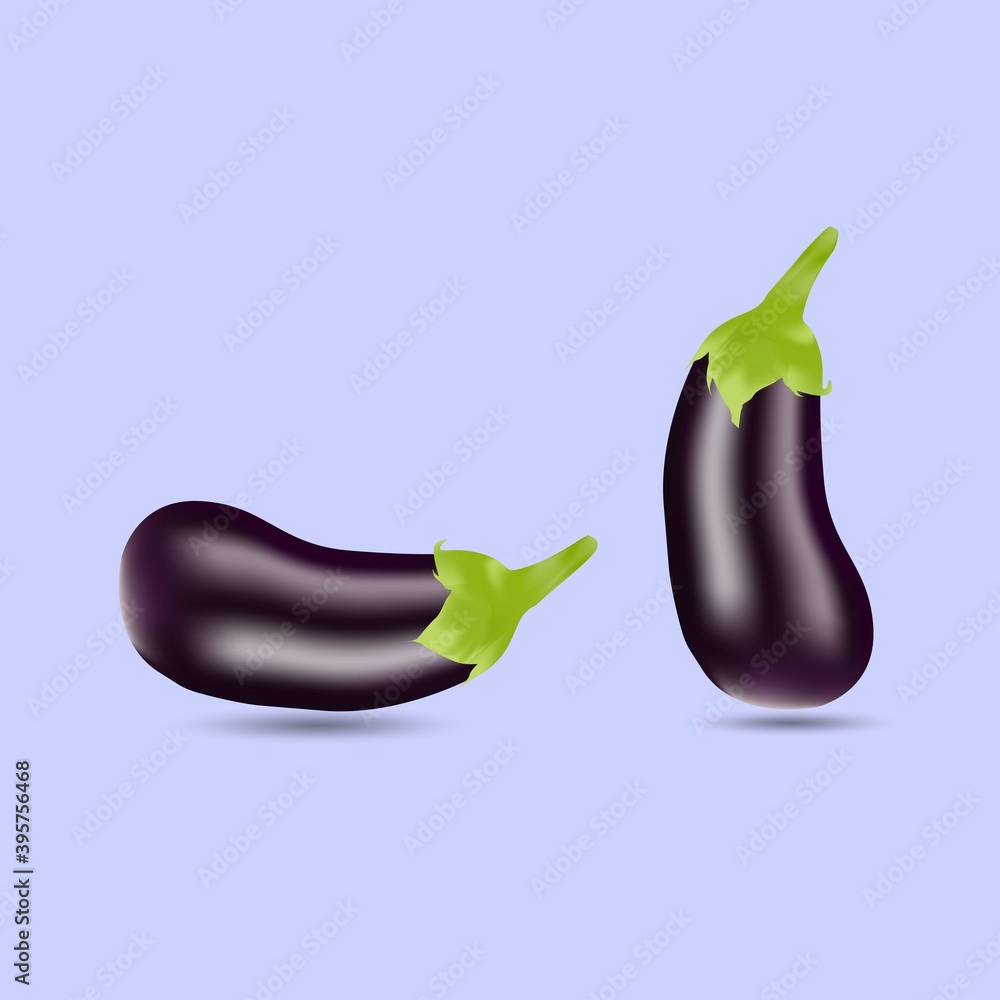 vector illustration of two purple eggplant design Stock Vector | Adobe ...