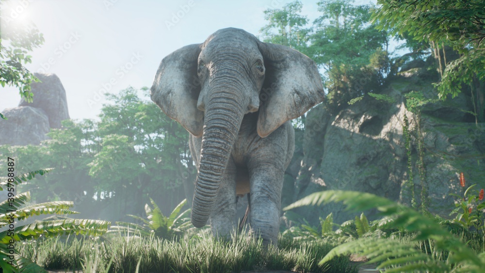 A gray African elephant walks through the green jungle in the early ...
