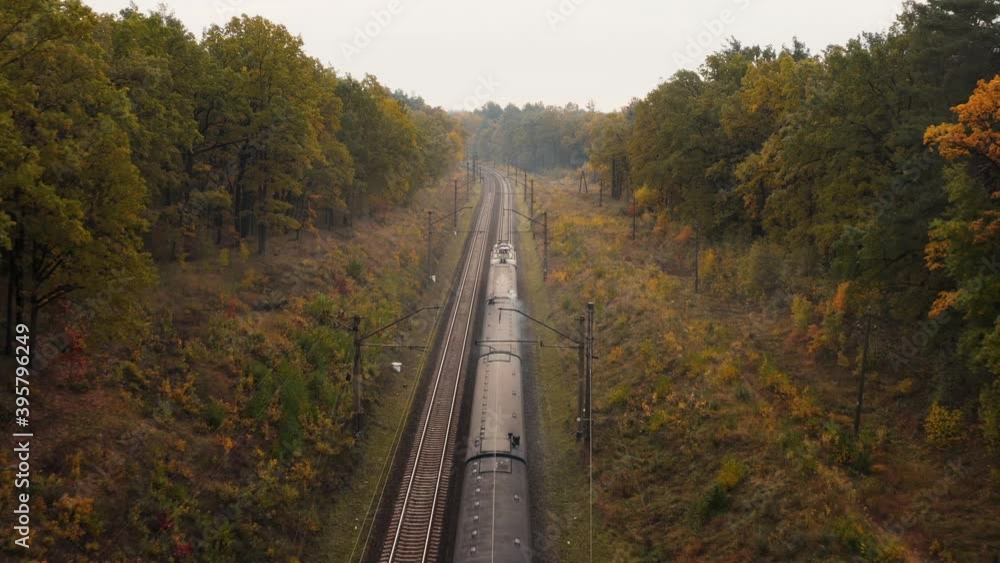 Passenger train rides by rail in a beautiful autumn forest from aerial ...