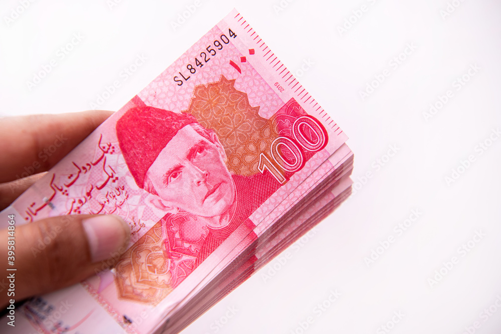 Pakistani Currency Notes 100