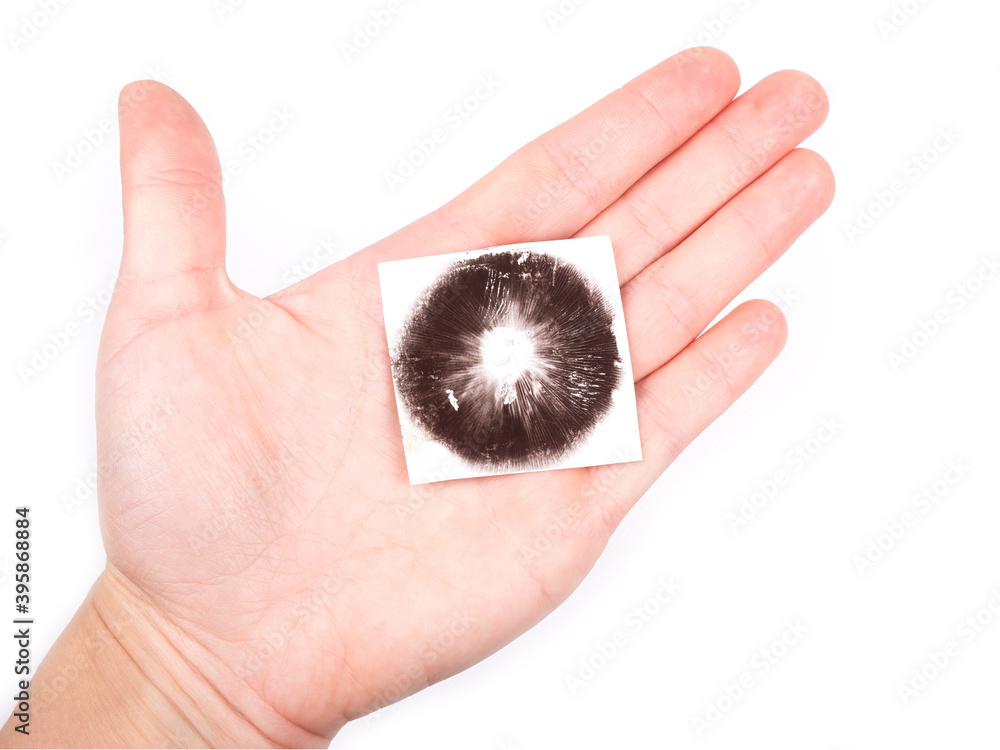 Psilocybe Azurescens Spore Print