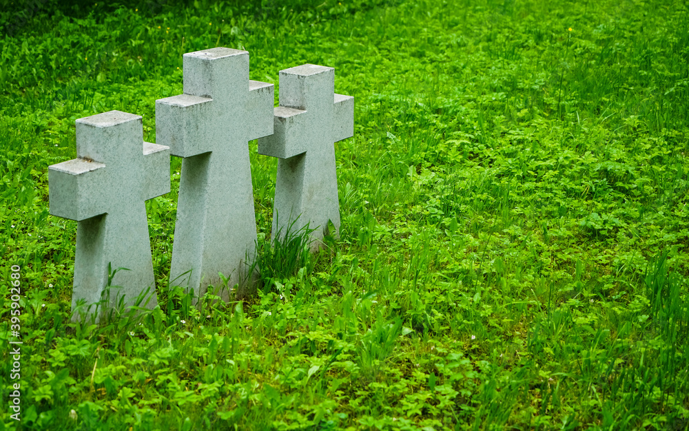 three gray granite crosses stand side by side in memory of the dead ...