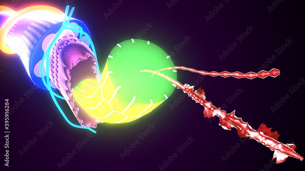 3d illustration of human body muscle tissue anatomy Stock Illustration ...