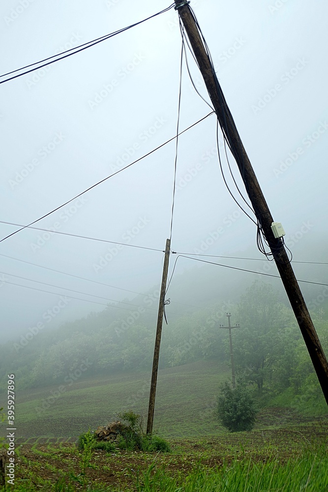 curved wooden poles, electric line with crossed wires in the fog Stock ...