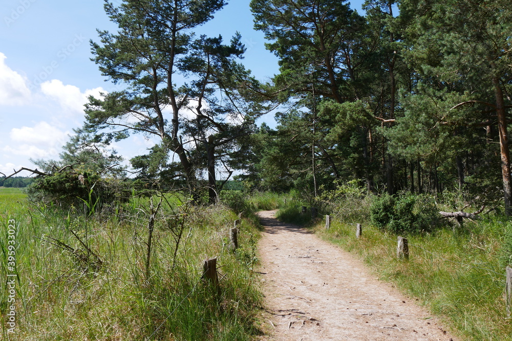 Naturschutzgebiet Darßer Ort auf dem Darß: Wanderweg, Naturreservat ...