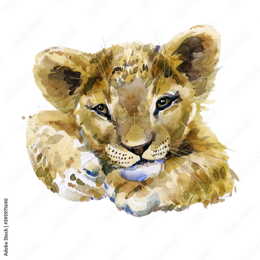 Cute lion cub watercolor illustration. wild baby animals series Stock ...